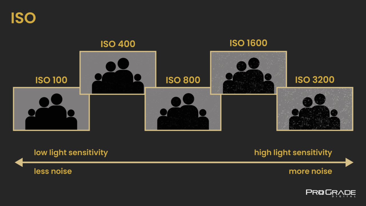 Understanding the Exposure Triangle | ProGrade Digital