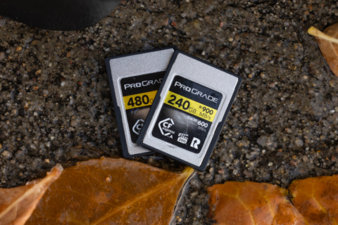 Choosing Between VPG 200 and VPG 400 | ProGrade Digital