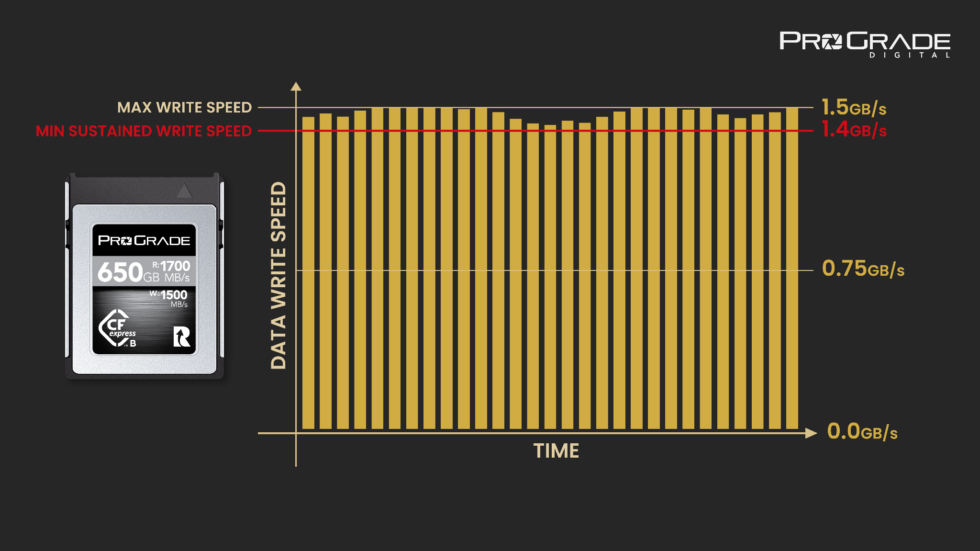 High-Endurance Memory Cards for Continuous Shooting | ProGrade Digital