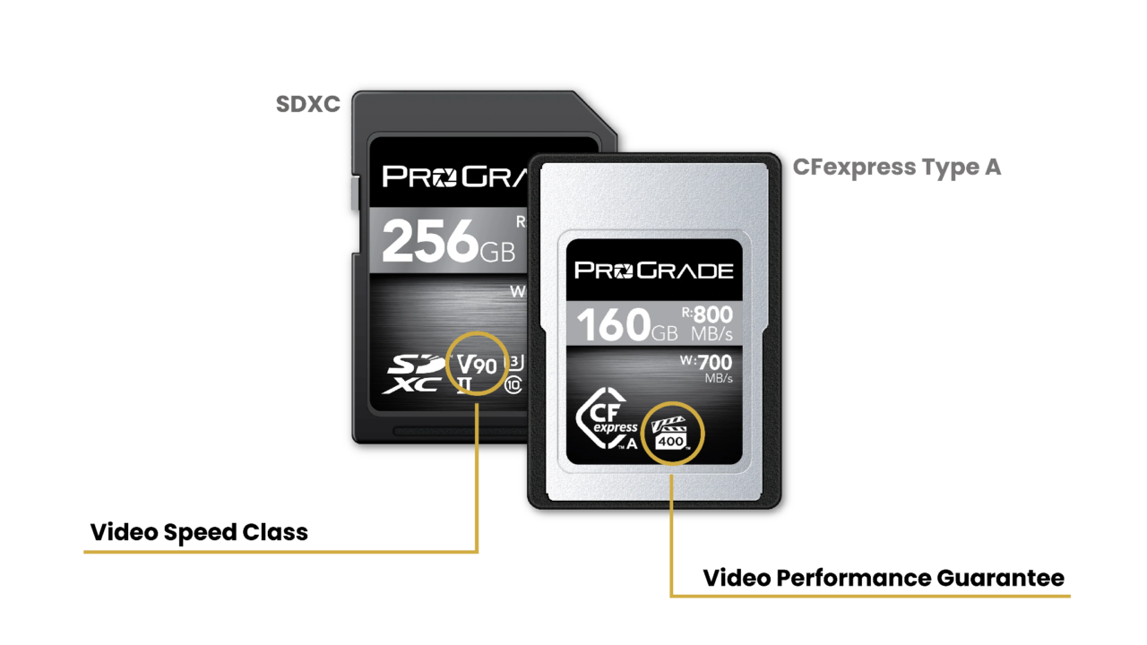 High-Endurance Memory Cards for Continuous Shooting | ProGrade Digital