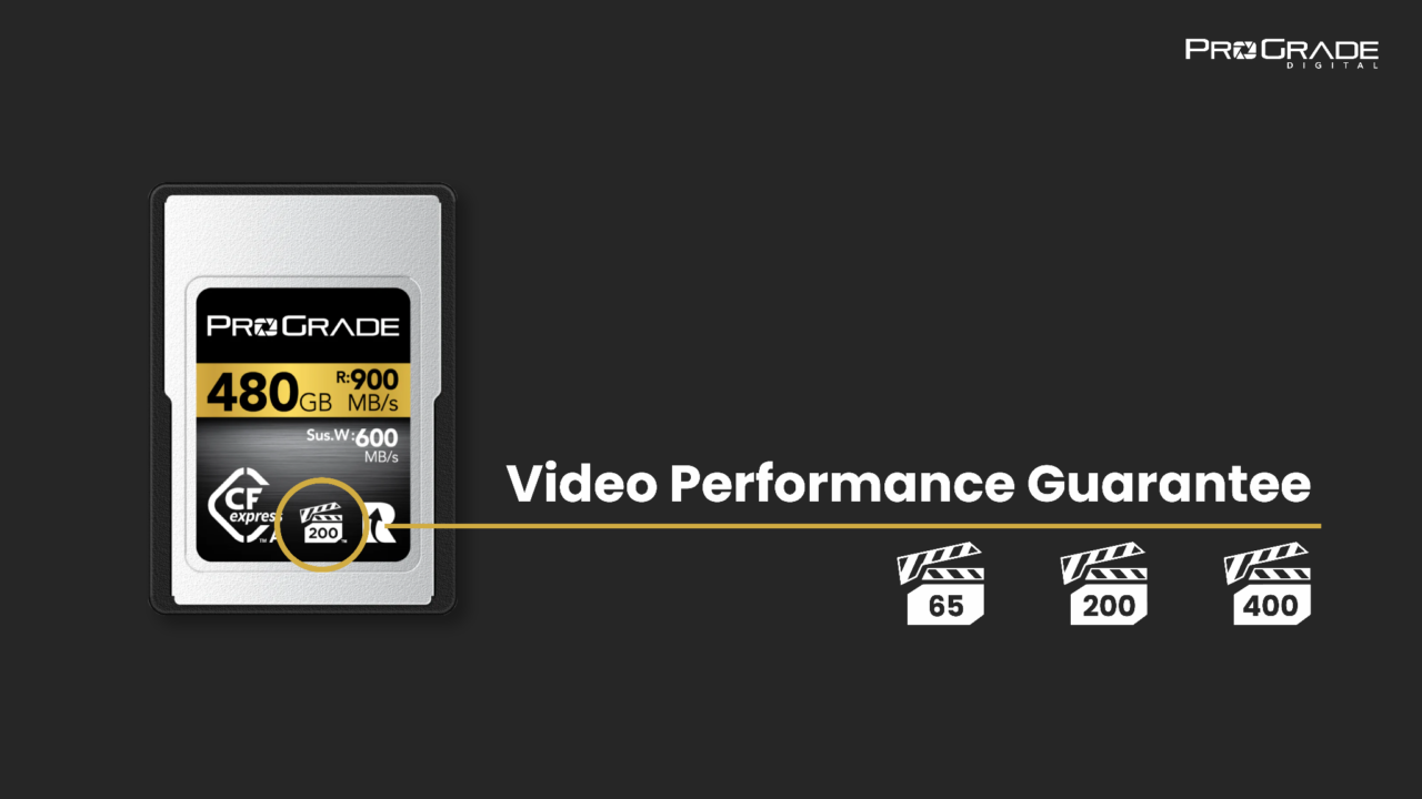 High-Speed Memory Cards for Sports Photography | ProGrade Digital