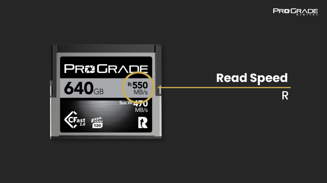 High-Speed Memory Cards for Sports Photography | ProGrade Digital