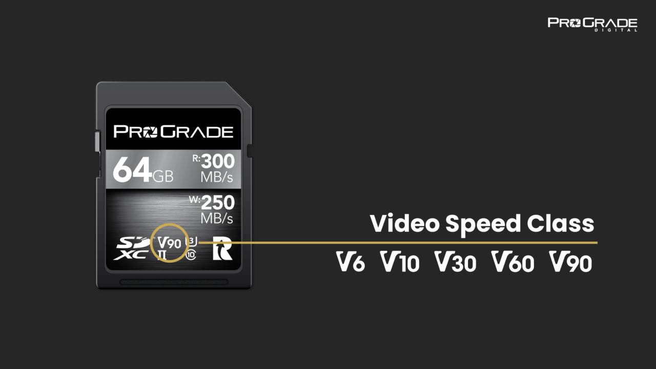 High-Speed Memory Cards for Sports Photography | ProGrade Digital