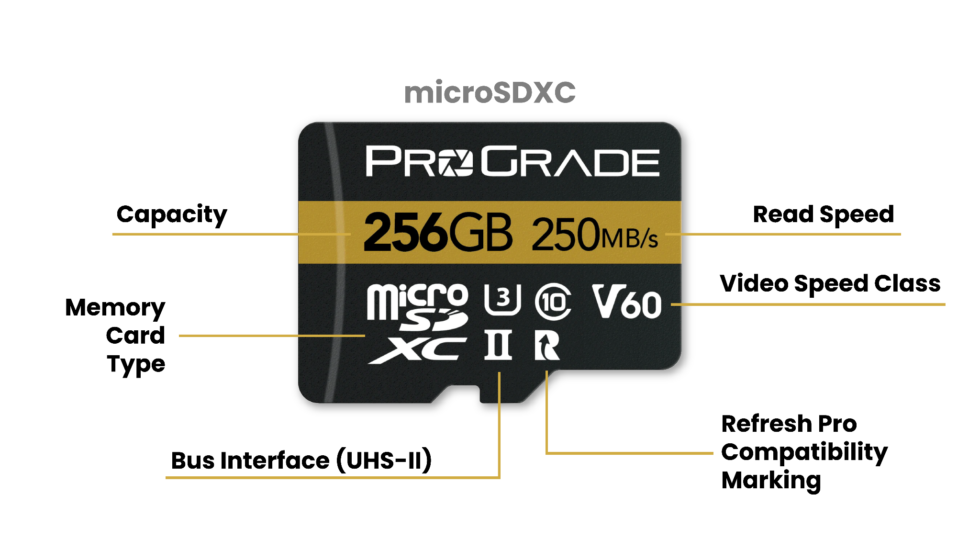 Choosing a Memory Card for Your Action Camera | ProGrade Digital