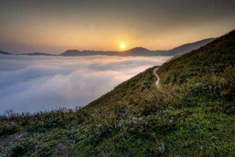 Mastering Depth in Landscape Photography | ProGrade Digital