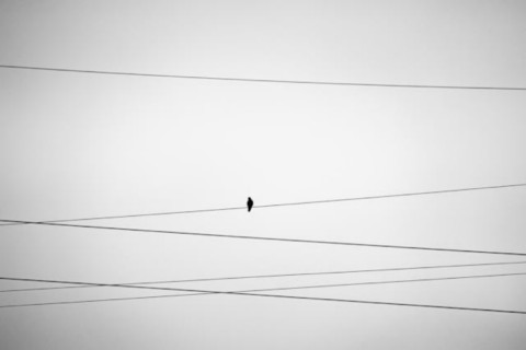 Minimalist Photography for Beginners | ProGrade Digital